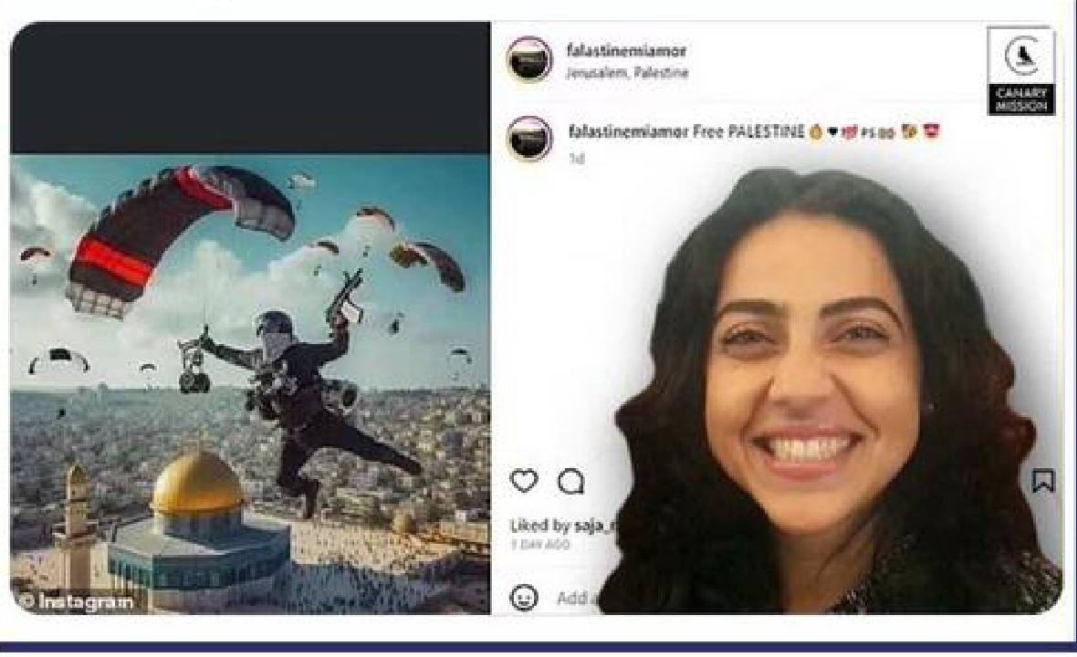 Hebrew News - "למה טרוריסטית פלסטינית מחליטה אם ישראלי יקבל גרין קארד?" ה-DHS העסיק תומכת חמאס ...